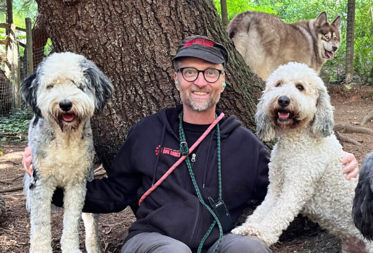 Behind the Scenes at the Dog Ranch Archives - Bowen Island Dog Ranch
